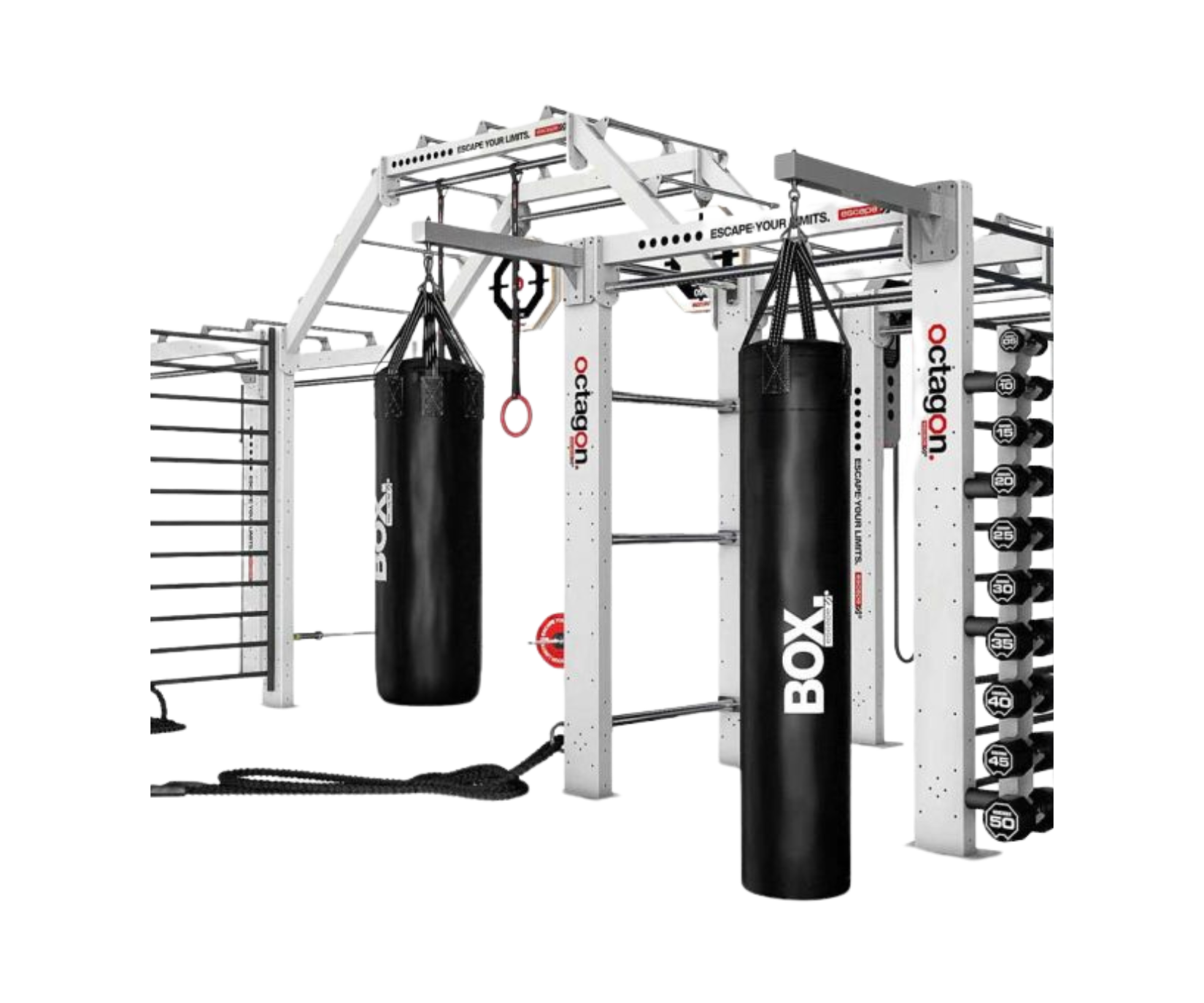 Cages & Portiques Cross-Training Pro | Fitspro Equipement